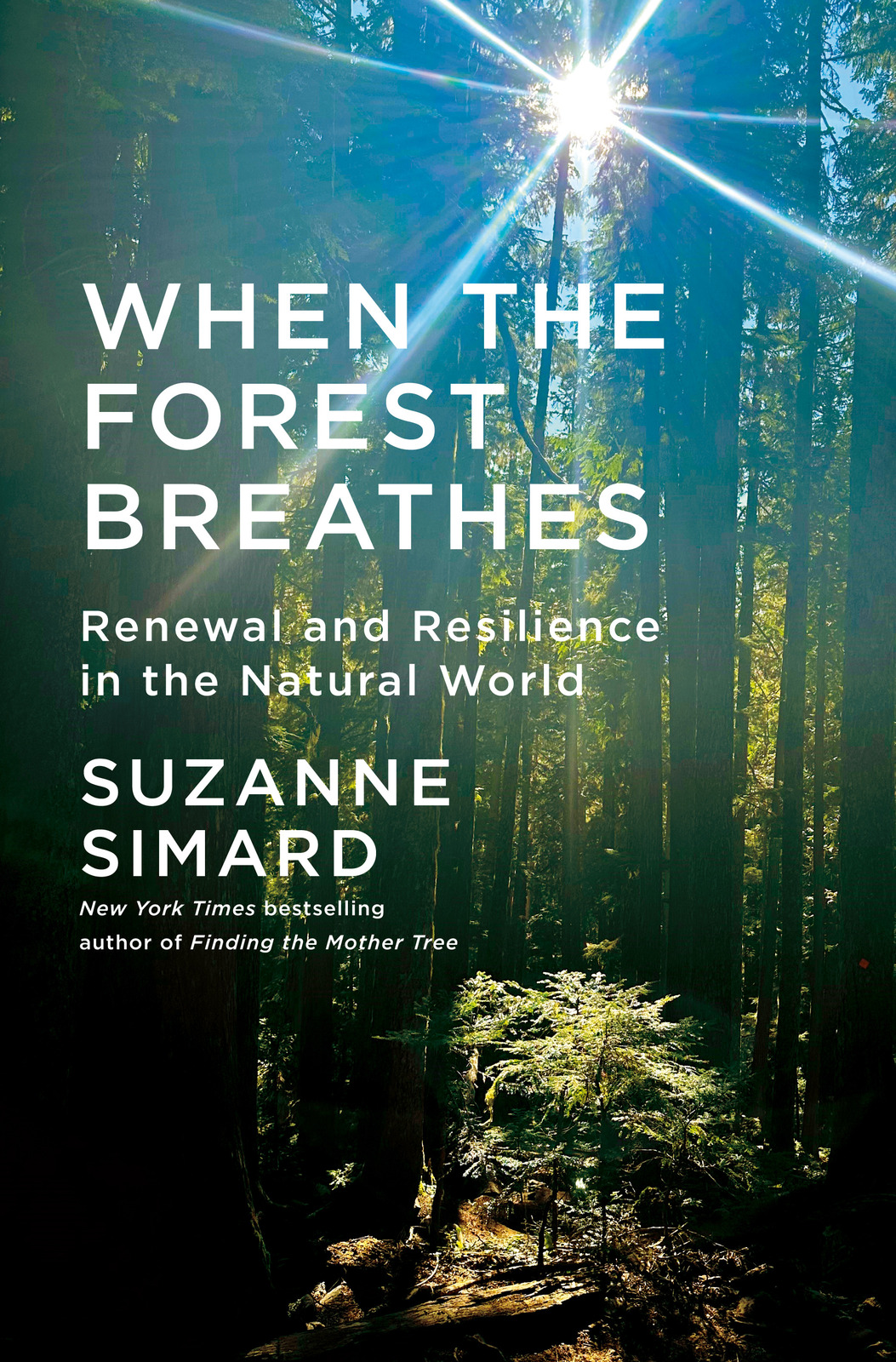 9780735241725 When The Forest Breathes - UBC Bookstore